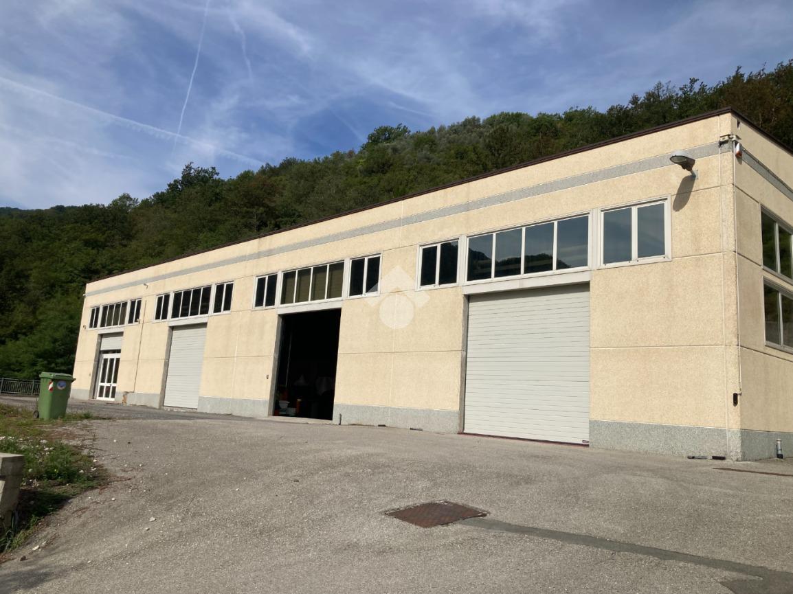 Capannone in affitto a Tribogna