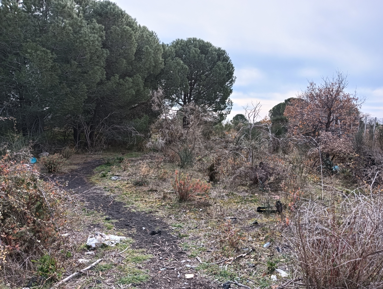 Terreno agricolo in Via Monpeluso, Nicolosi