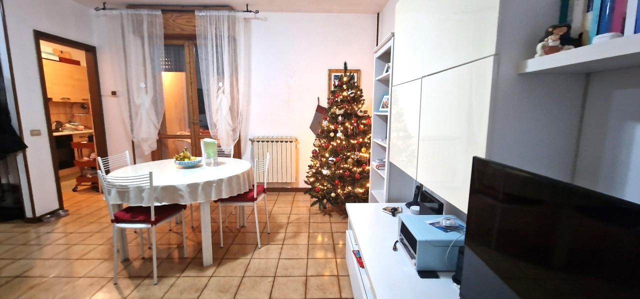 Appartamento in affitto a Sarzana