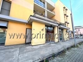 Negozio in affitto a Cerea