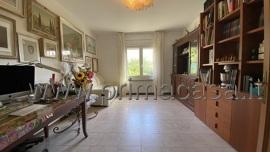 Appartamento in vendita a Salzano