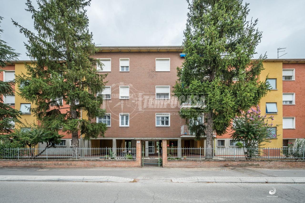 Appartamento in vendita a Medicina