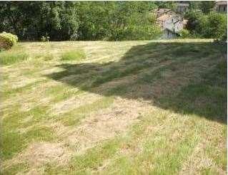 Terreno agricolo in vendita a Muggiò