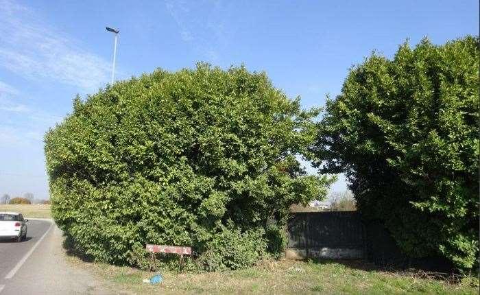 Terreno agricolo in vendita a Carate Brianza