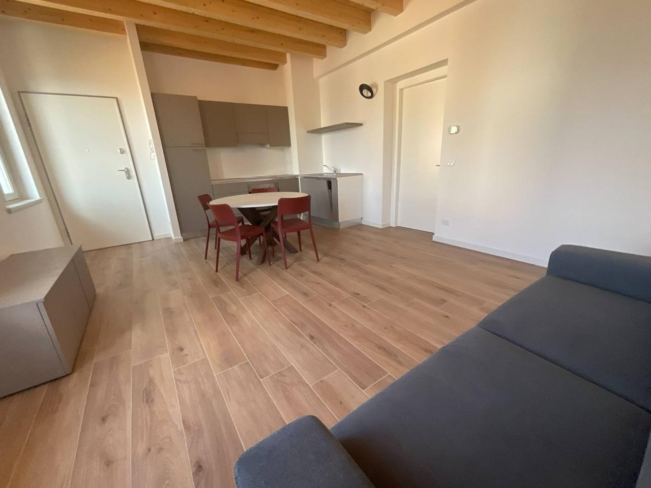 Appartamento in affitto a Seriate