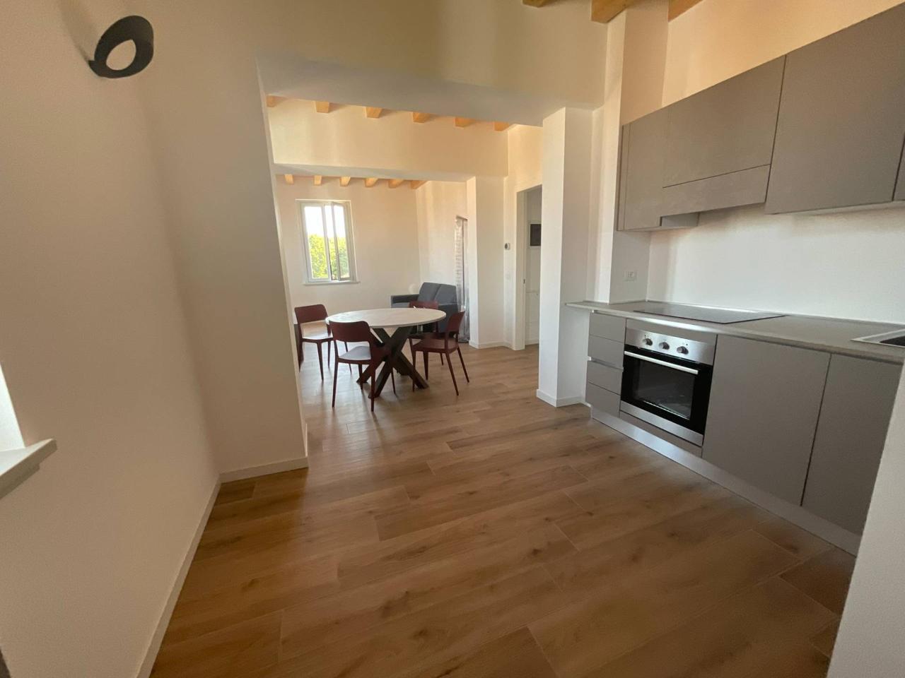 Appartamento in affitto a Seriate