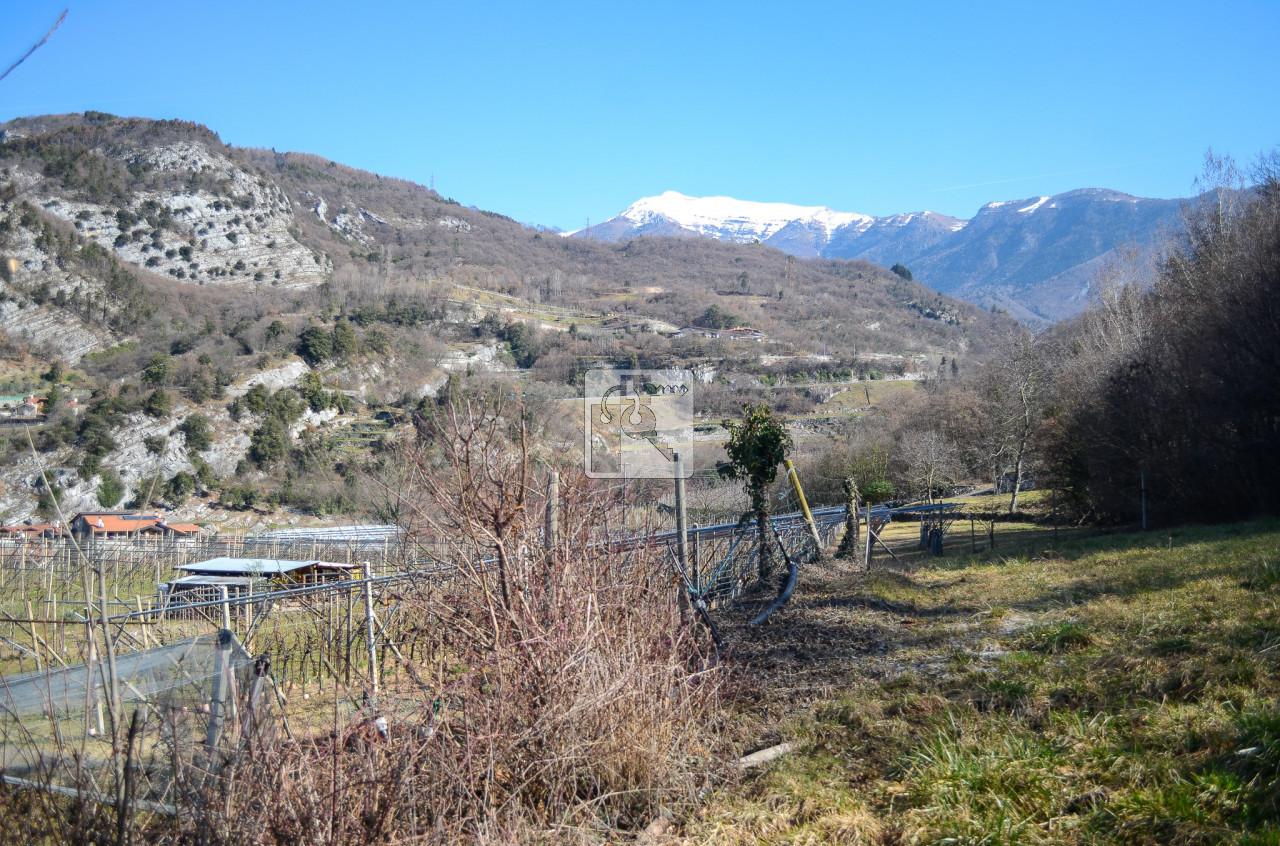 Terreno agricolo in vendita a Drena