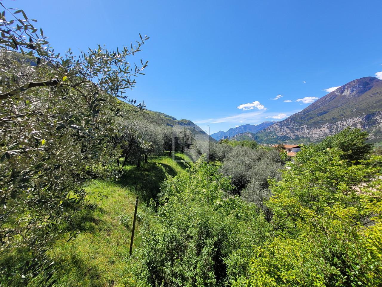 Terreno agricolo in vendita a Dro