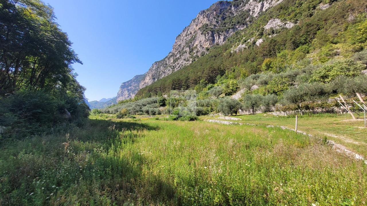 Terreno agricolo in vendita a Dro