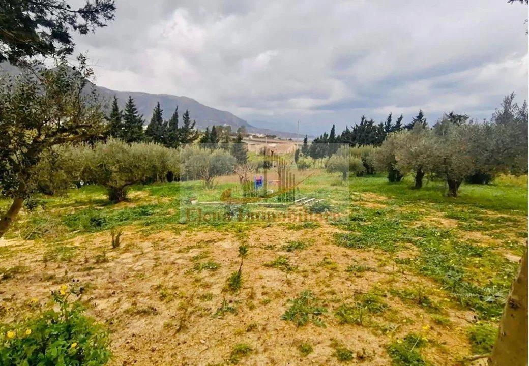 Terreno edificabile residenziale in vendita a Alcamo