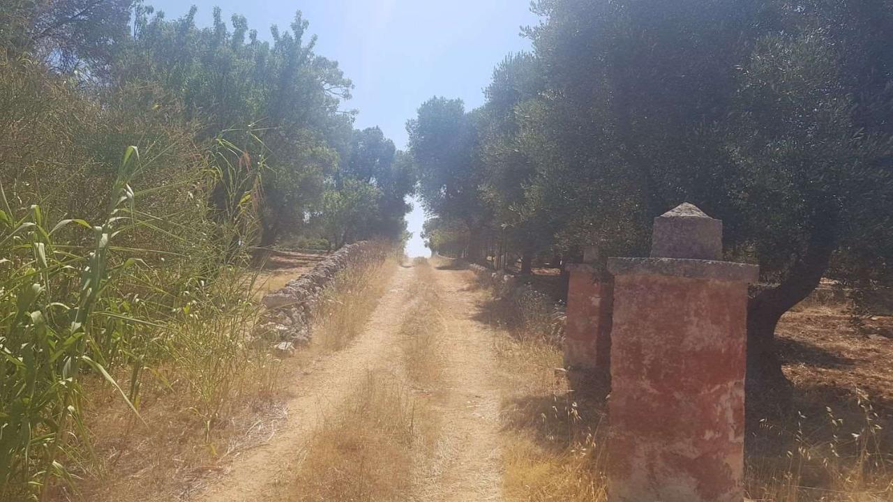 Terreno edificabile residenziale in vendita a Carovigno