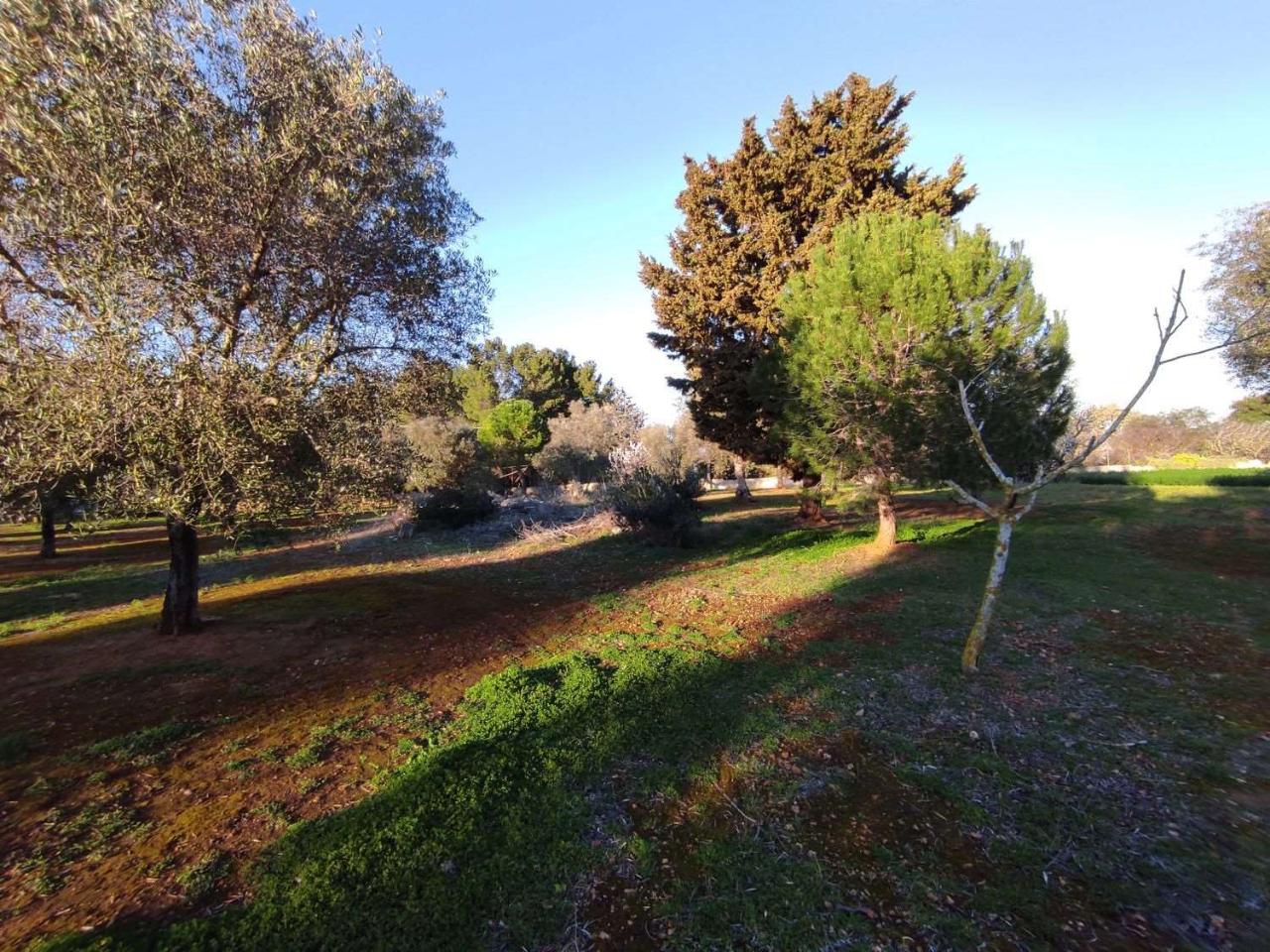 Terreno edificabile residenziale in vendita a Carovigno
