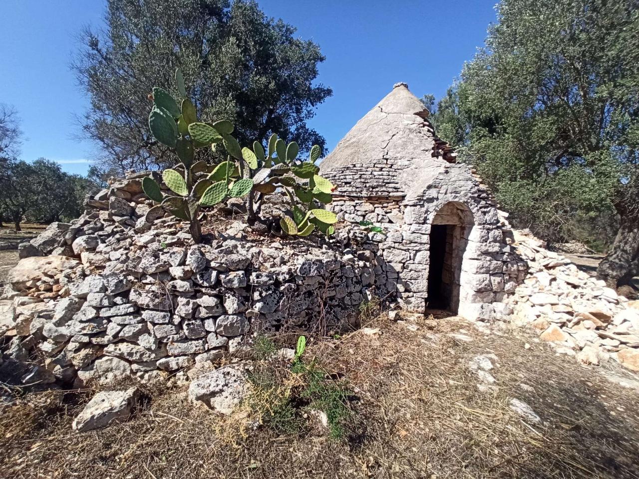 Terreno edificabile in vendita a Ceglie Messapica