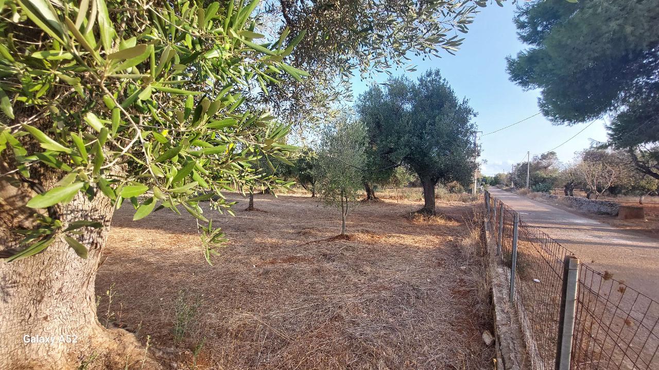 Terreno edificabile in vendita a San Vito Dei Normanni