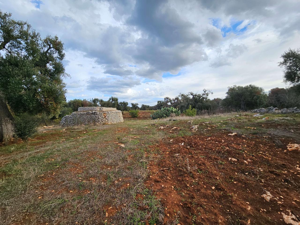 Terreno edificabile in vendita a Carovigno