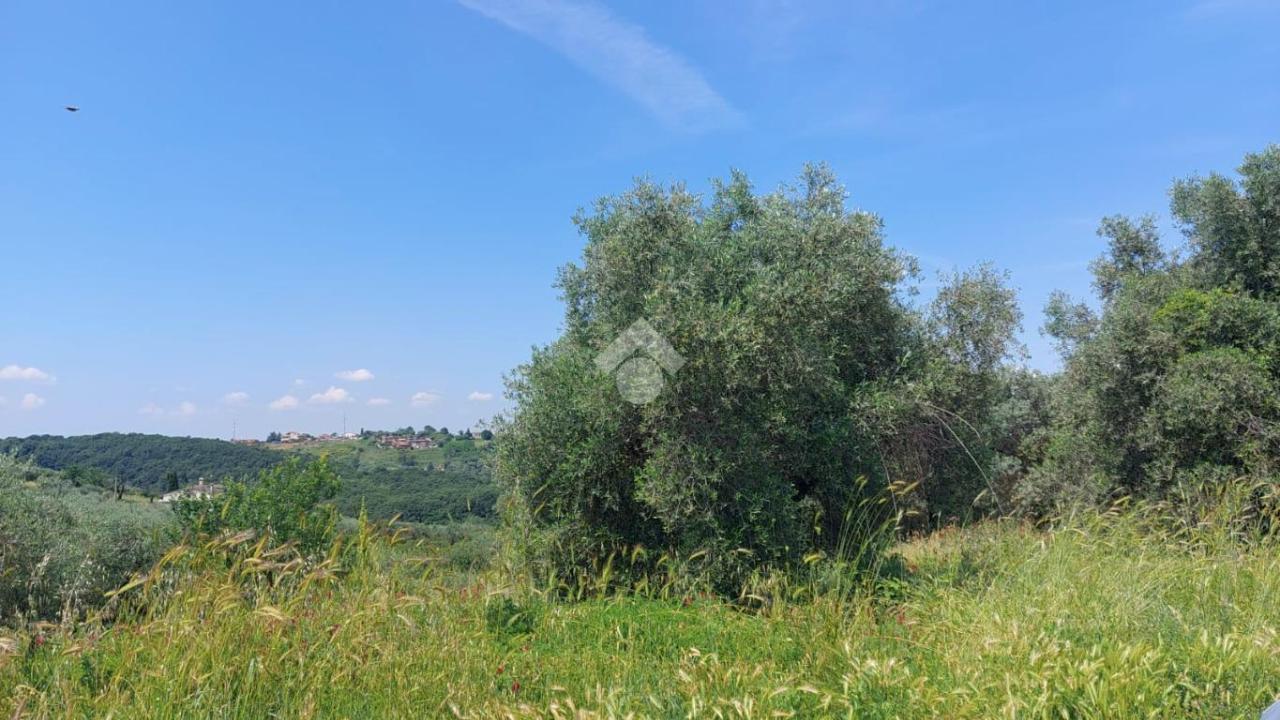 Terreno agricolo in vendita a Fonte Nuova