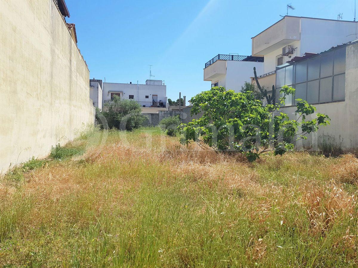 Terreno agricolo in vendita a Sannicola