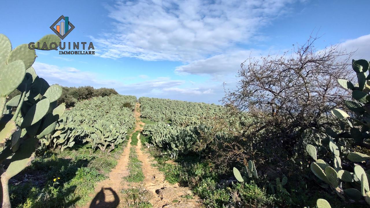 Terreno agricolo in vendita a Militello In Val Di Catania