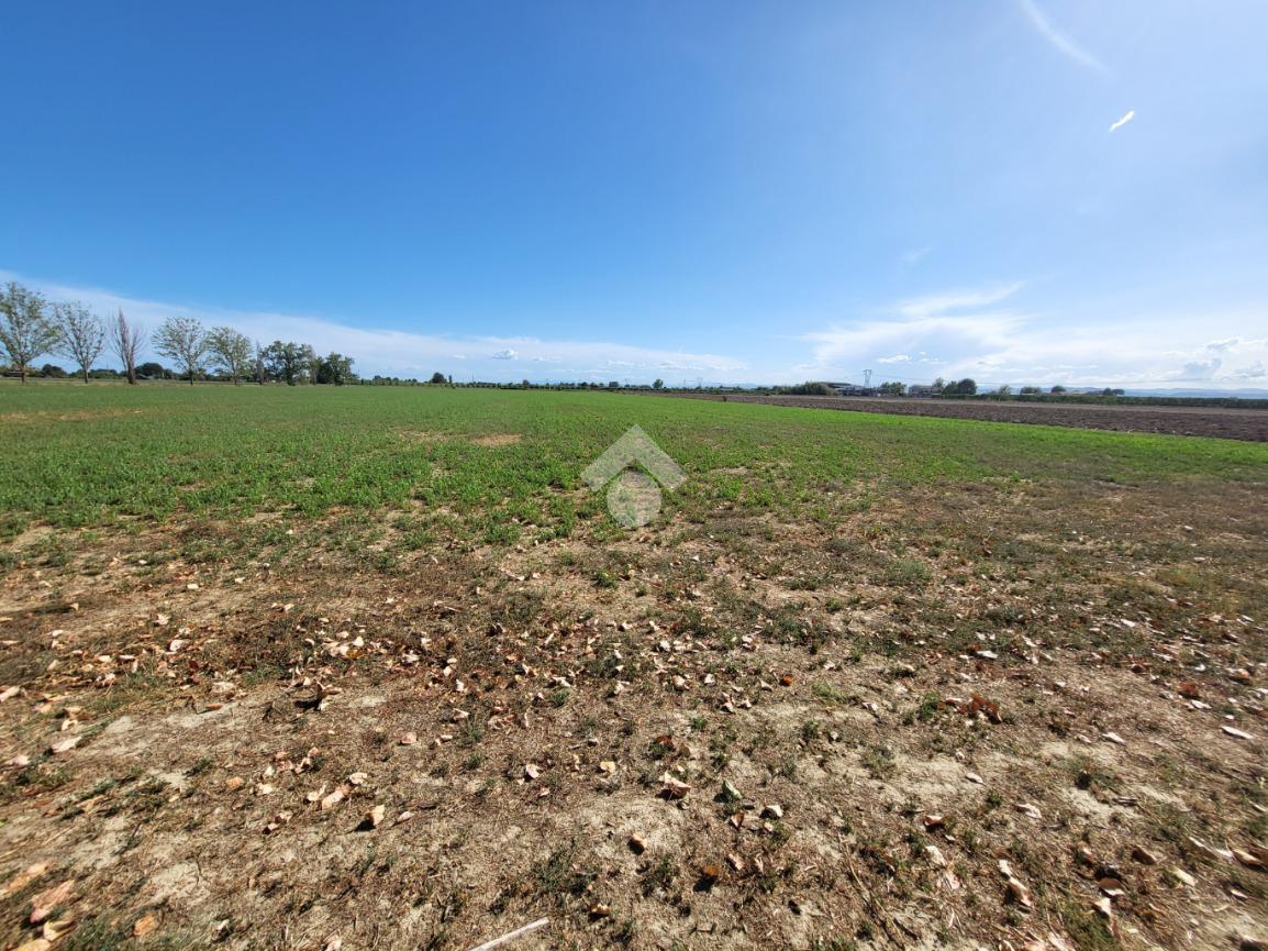 Terreno agricolo in vendita a Russi