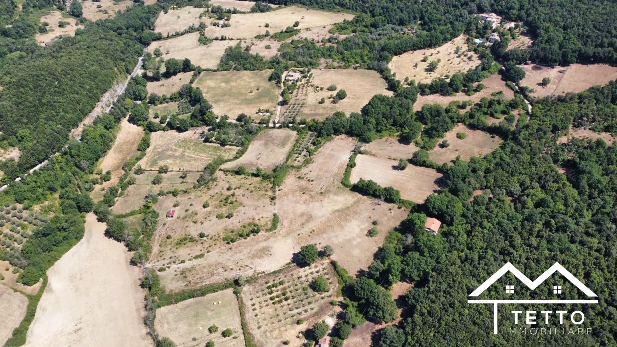 Terreno edificabile in vendita a Montasola