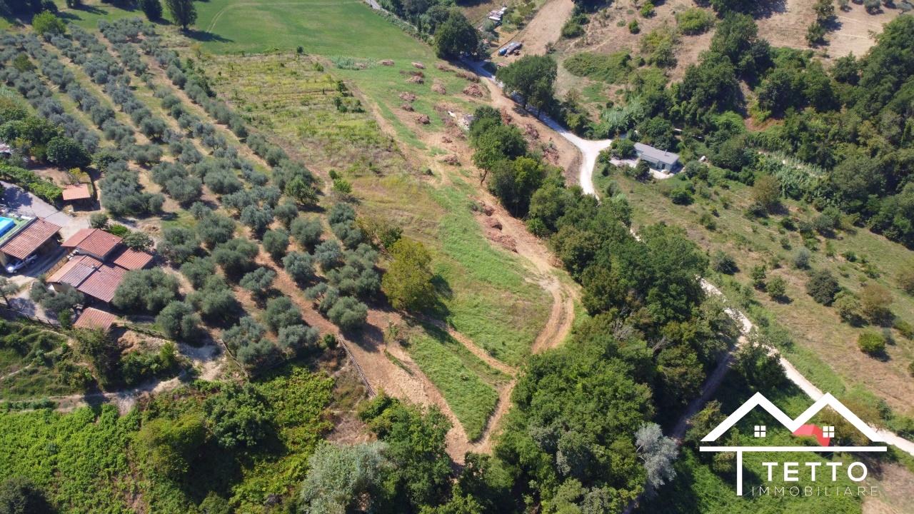 Terreno agricolo in vendita a Forano