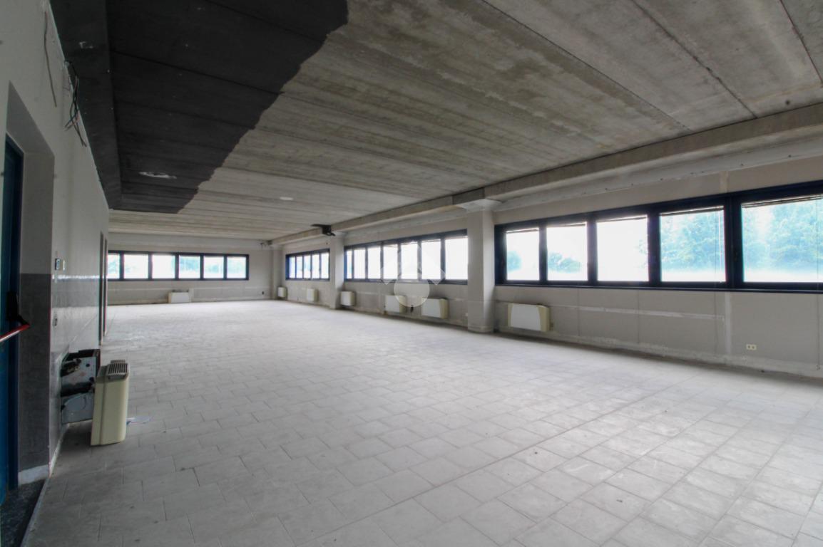 Ufficio in affitto a Segrate