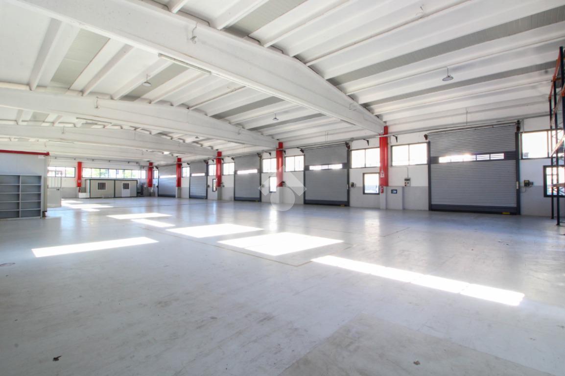 Capannone in affitto a Spino D'Adda