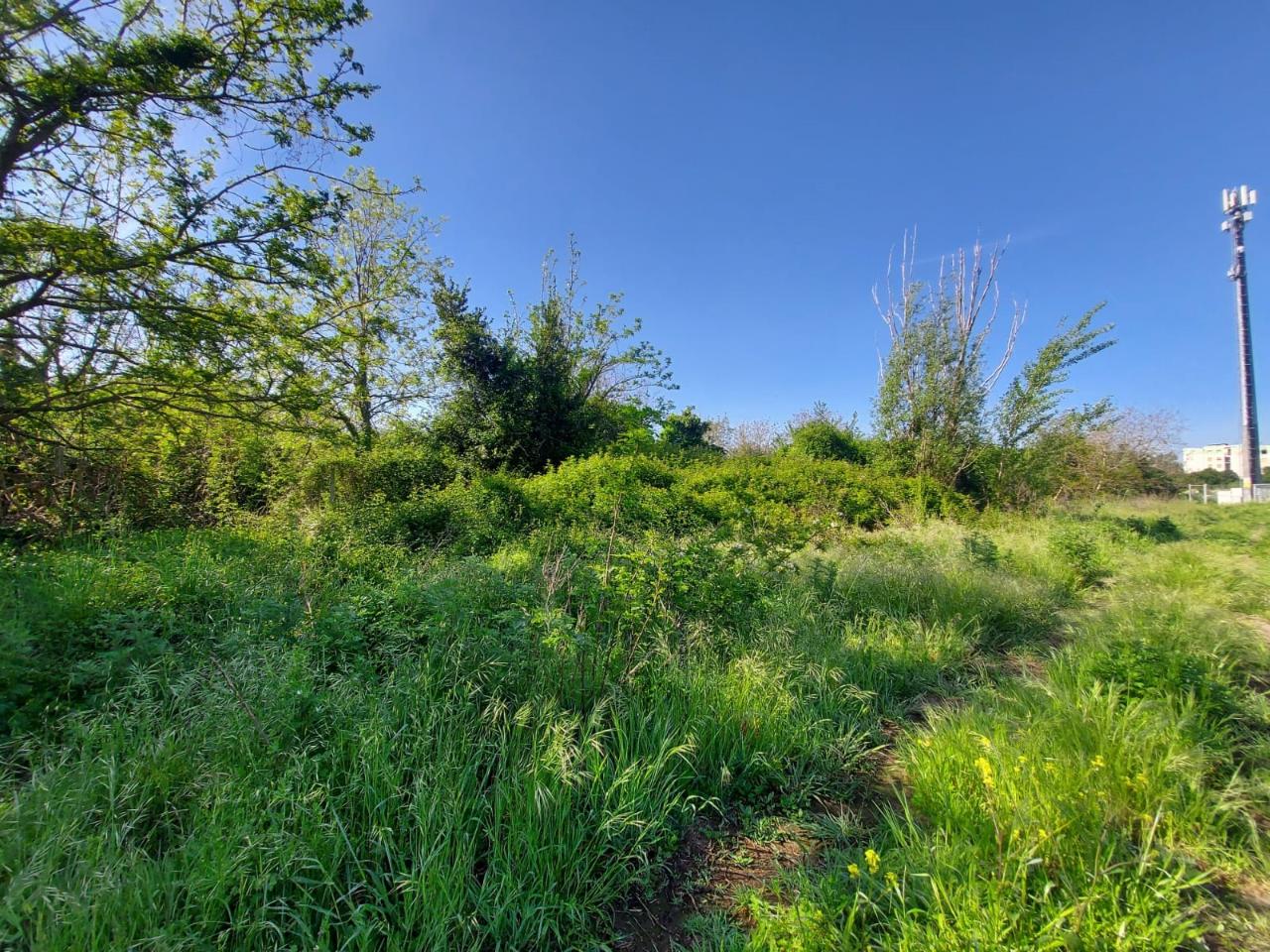 Terreno agricolo in Via Vanoni Snc, Cardito