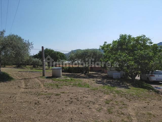 Terreno agricolo in vendita a Panicale
