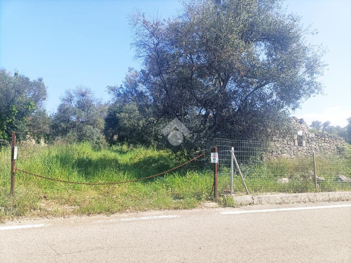 Terreno agricolo in Via Sant'Egidio, Mola di Bari