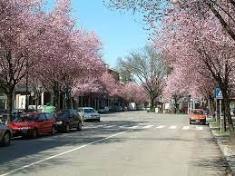 Appartamento in vendita a Reggio Emilia