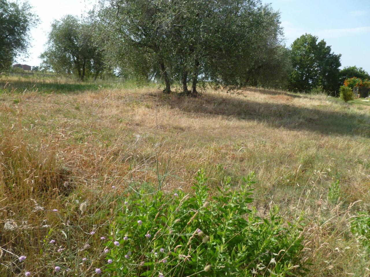 Terreno edificabile in vendita a Castiglione Del Lago