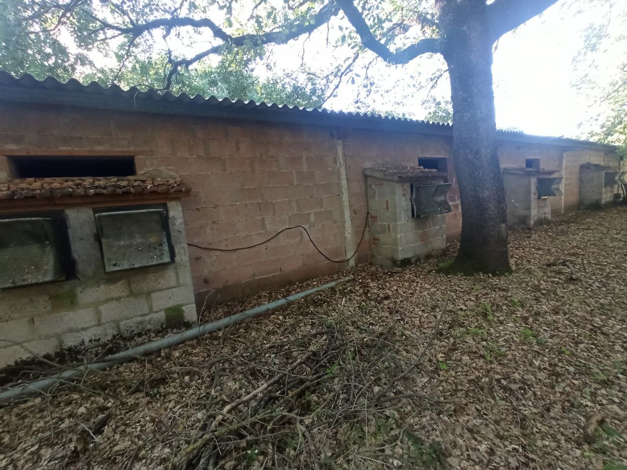 Capannone in vendita a Castiglione Del Lago