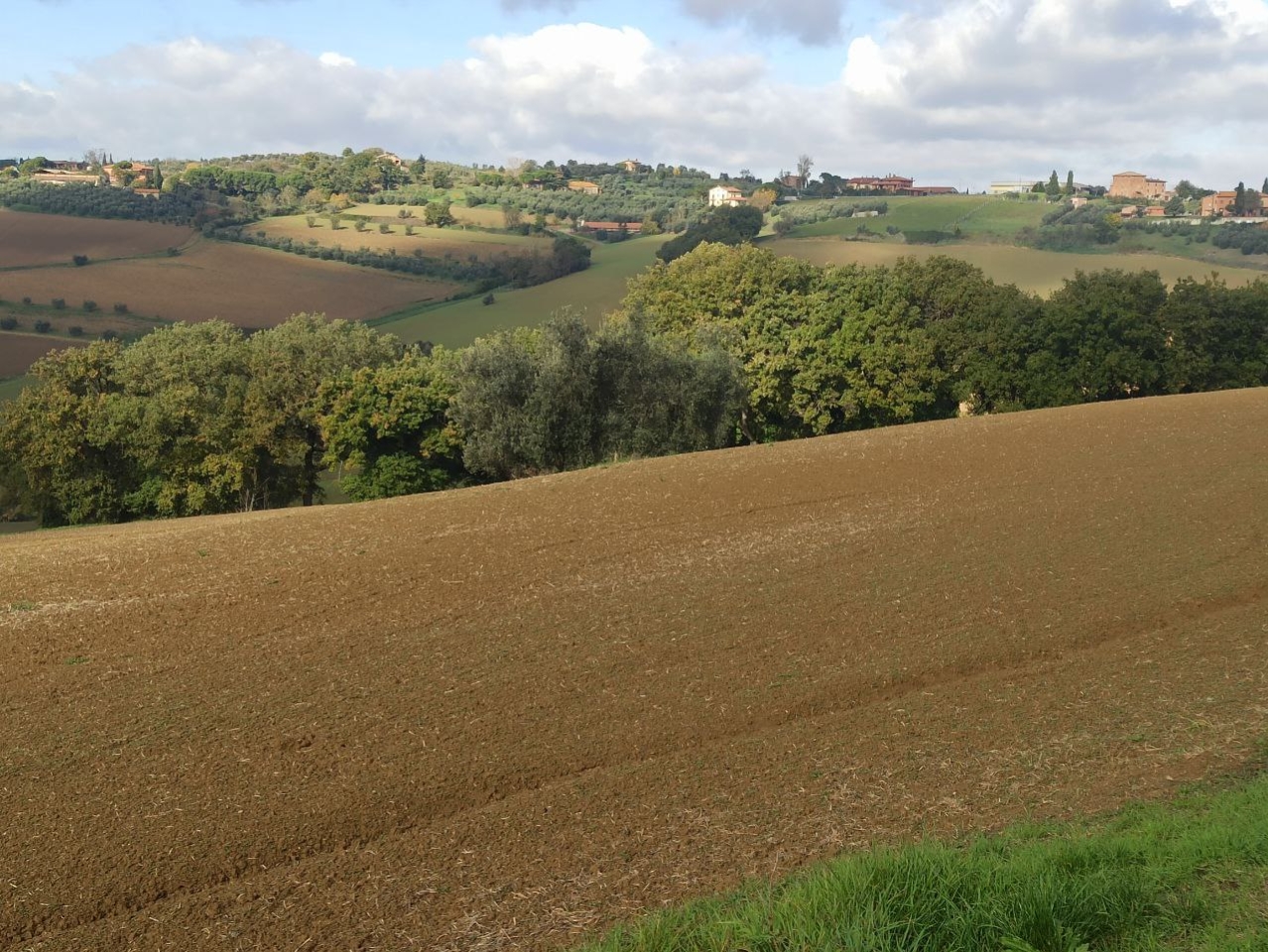 Terreno edificabile residenziale in vendita a Castiglione Del Lago