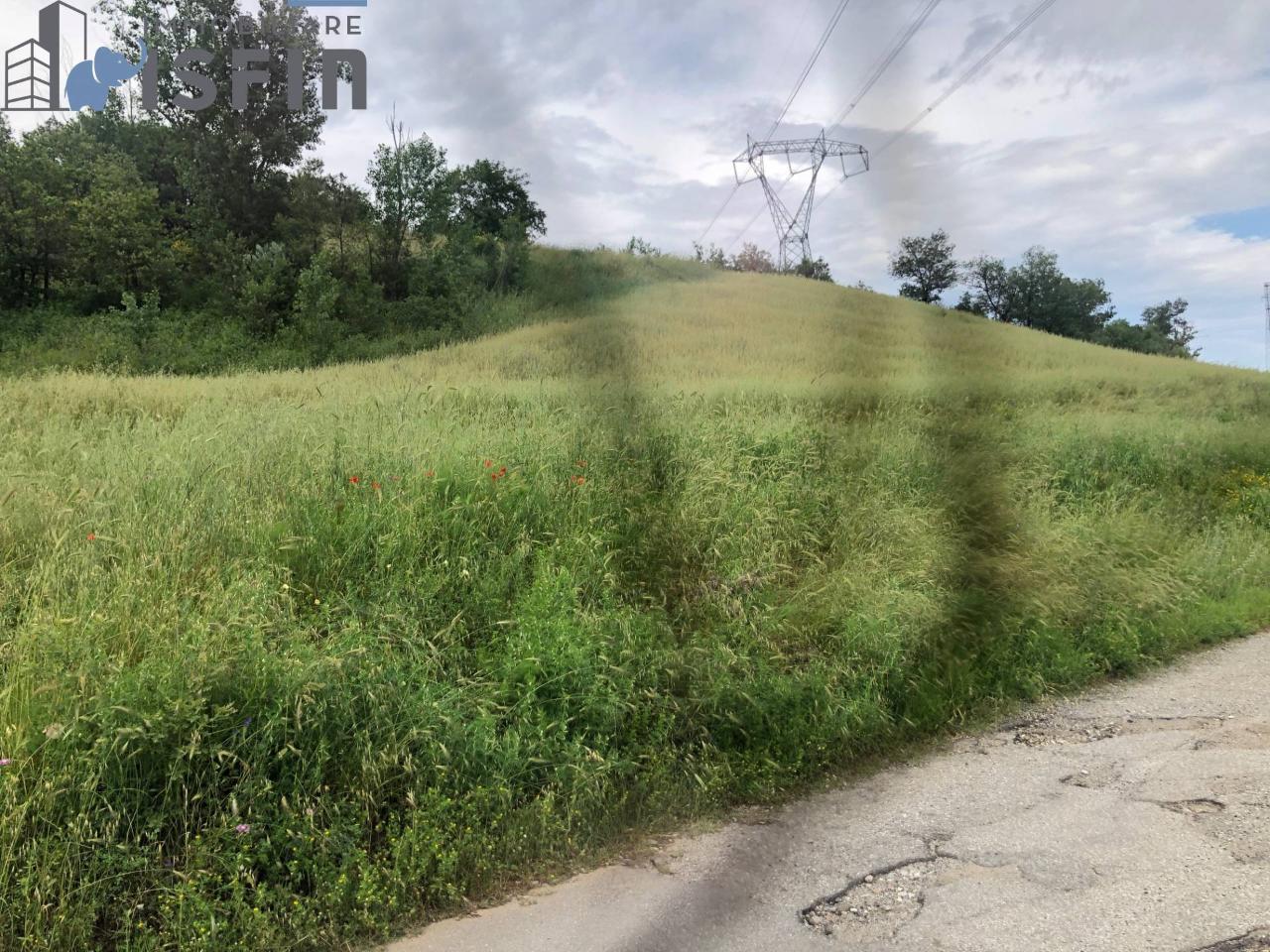 Terreno agricolo in vendita a Lattarico