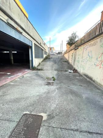 Magazzino in affitto, Via Massimo d'Azeglio 3a, Anzio, 400 mq • Wikicasa